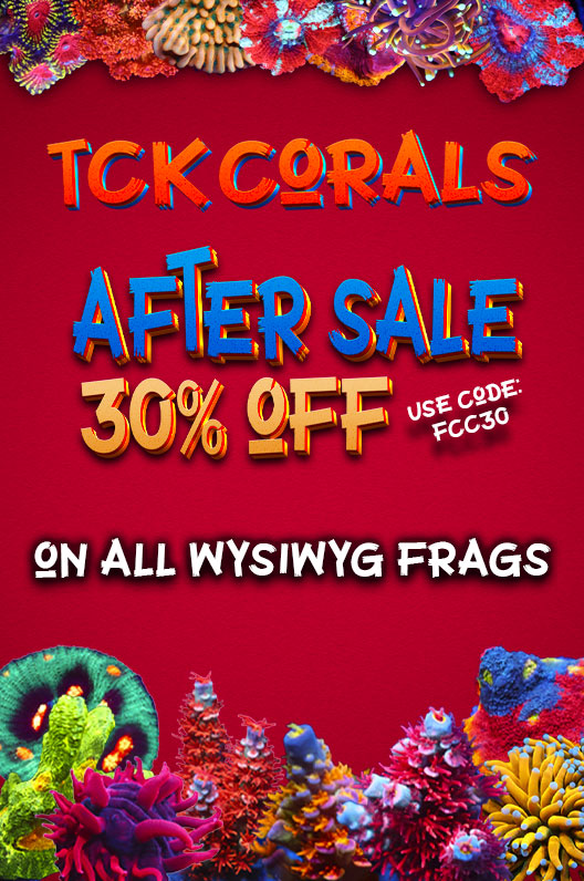 TCKCorals Premium Aquacultured WYSIWYG Corals