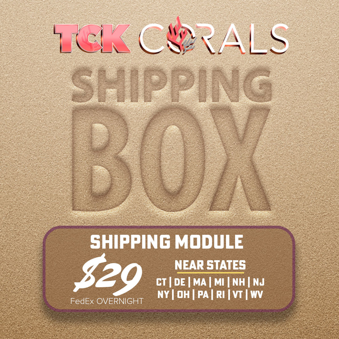 Shipping Modules – TCKCorals